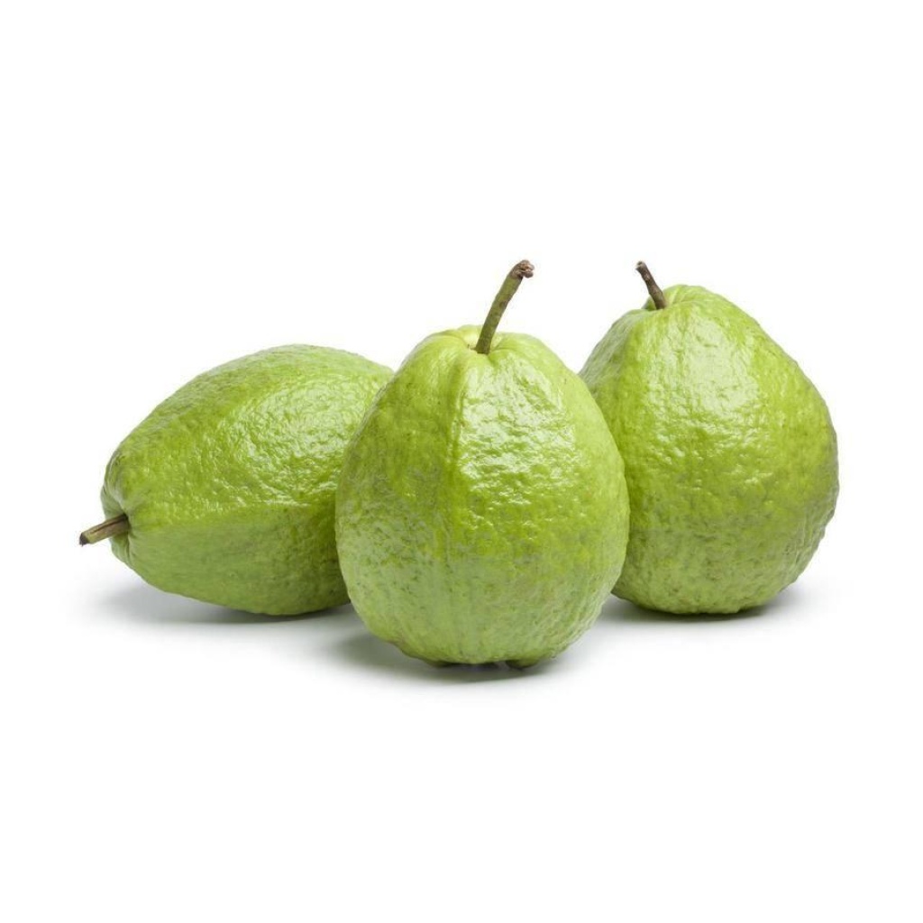 Guava – Fruit Corner